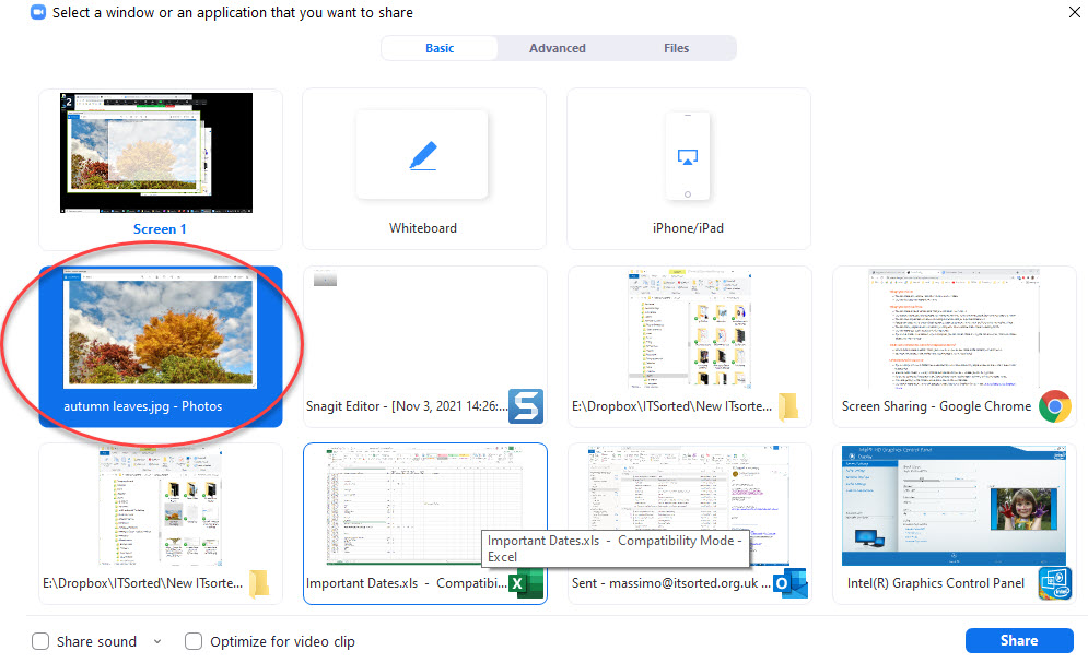 Screen Sharing